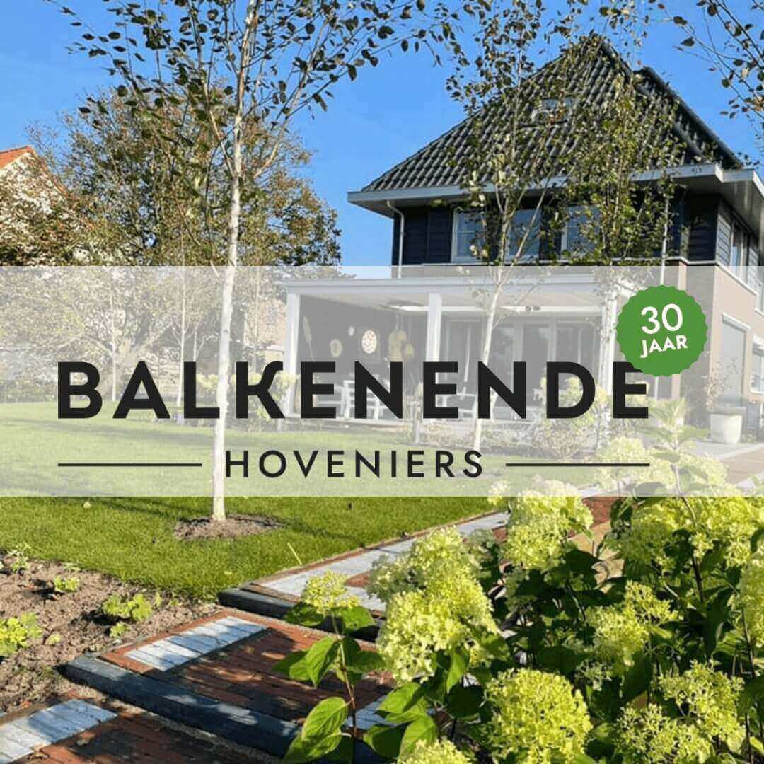 Balkenende Tuin & Wonen, uw hovenier - Balkenende Hoveniers